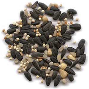 Wild Bird Seed 50lb. | King Feed