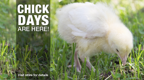 Northern Colorado Feeders Supply | Home, Fort Collins CO, Colorado ...