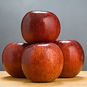 Apple Winecrisp-Semi Dwarf | East River Nursery | Huron, SD