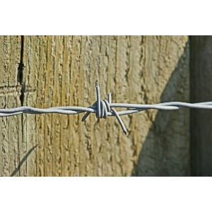 Barb Wire 4 Point | King Feed