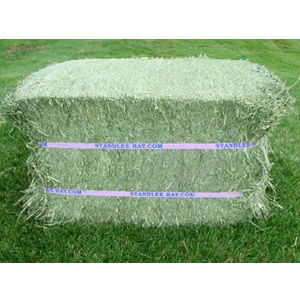 Standlee 50 lb Premium Compressed Alfalfa Hay Bales | Red Barn Feed and ...